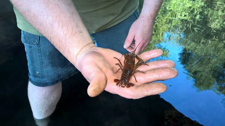 Home - Pudding River Watershed Council