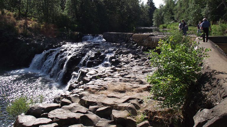 Home - Pudding River Watershed Council